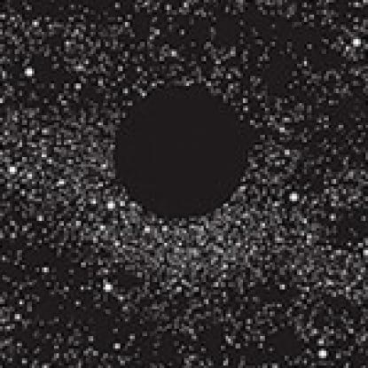 Seer | Rolling Stone Japan(ローリングストーン ジャパン）